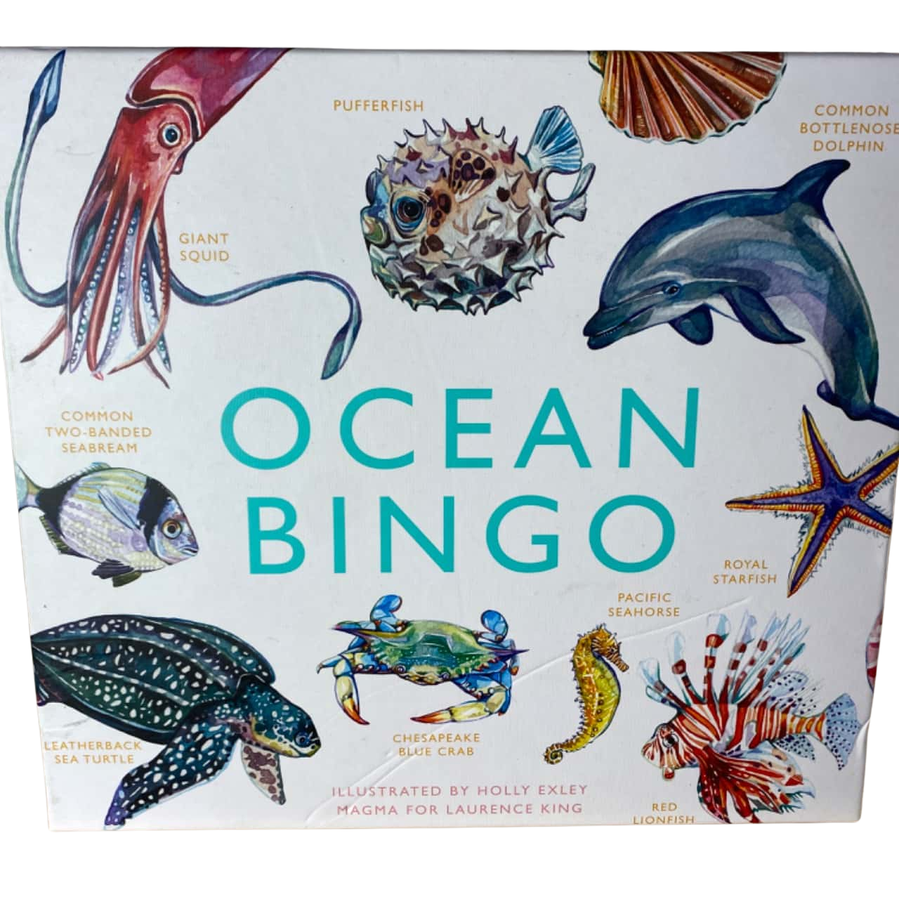 Ocean Bingo Board Game(s)