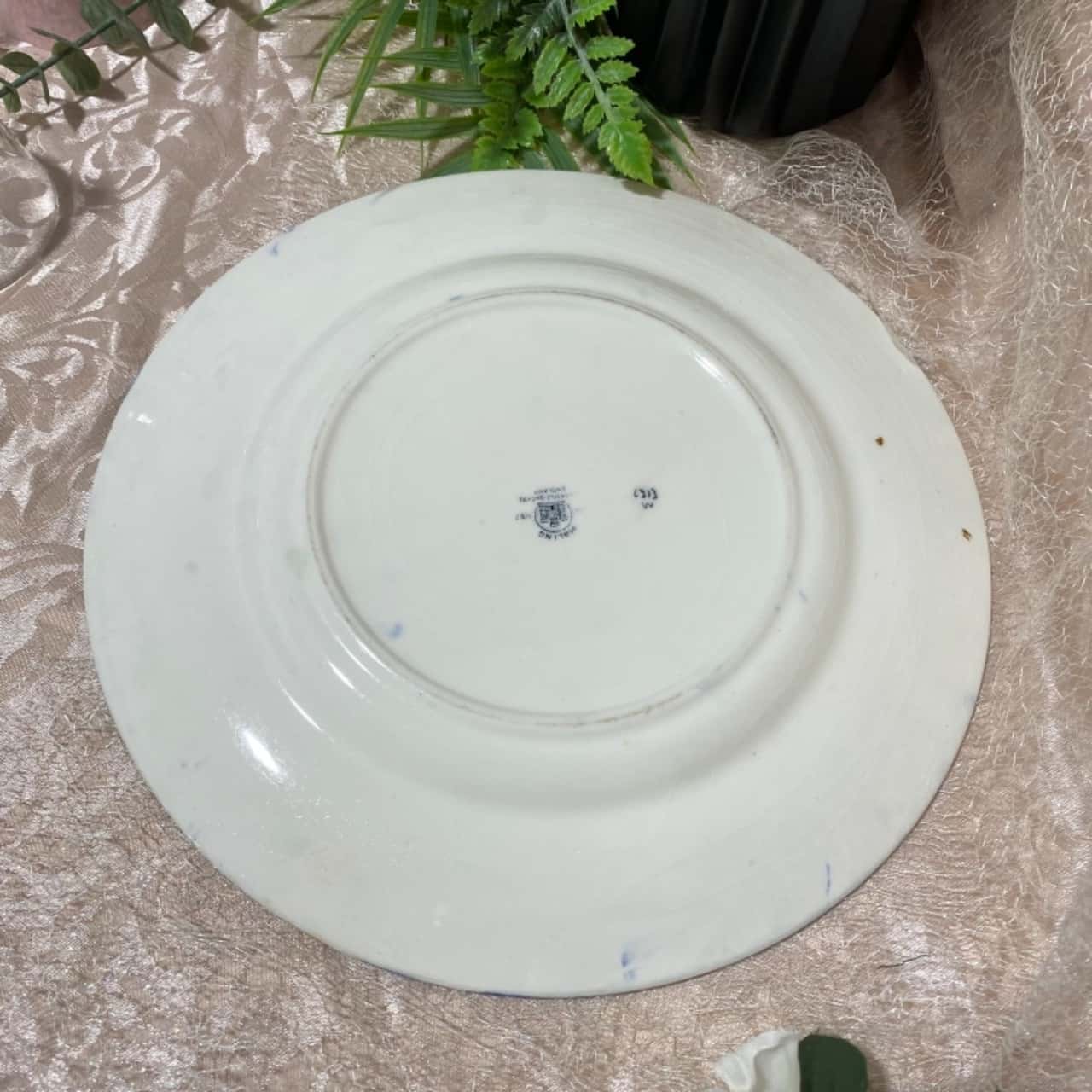 Maling Newcastle on Tyne England Hand Painted Plate(s)