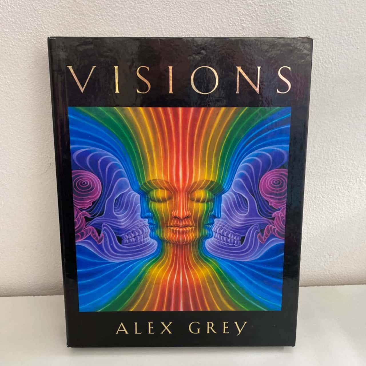 Alex Grey Visions(s)