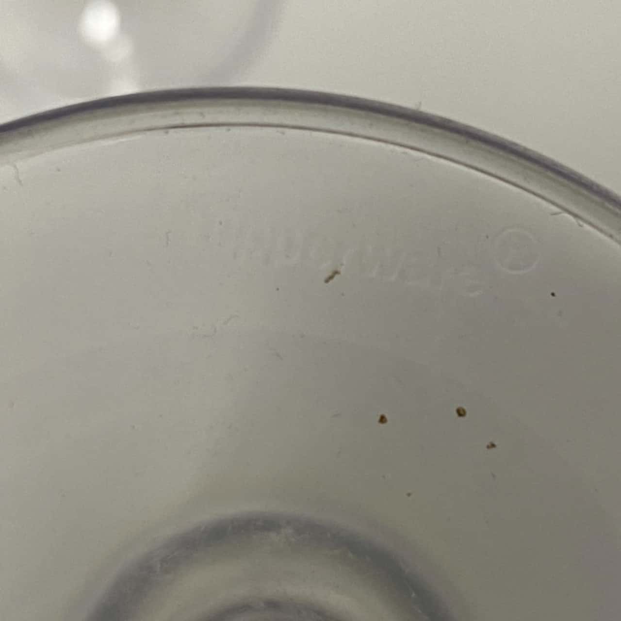 Tupperware Acrylic Flute Champagne Glasses X4 Citrus Green