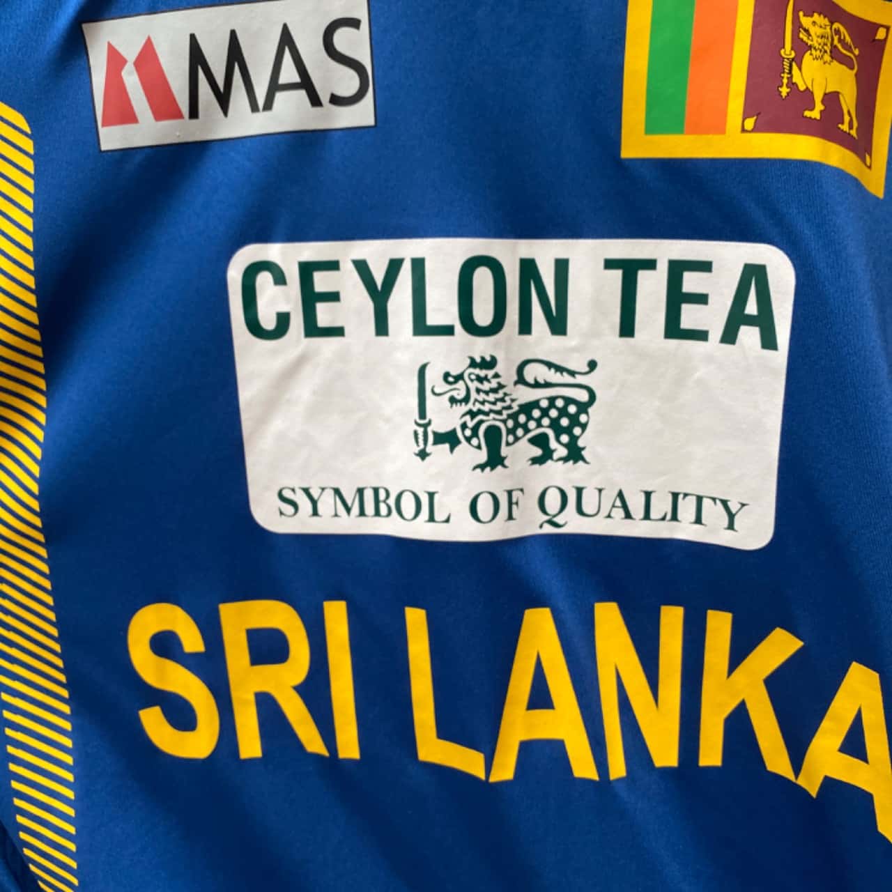 MAS Holdings Mens Cricket Top(s)