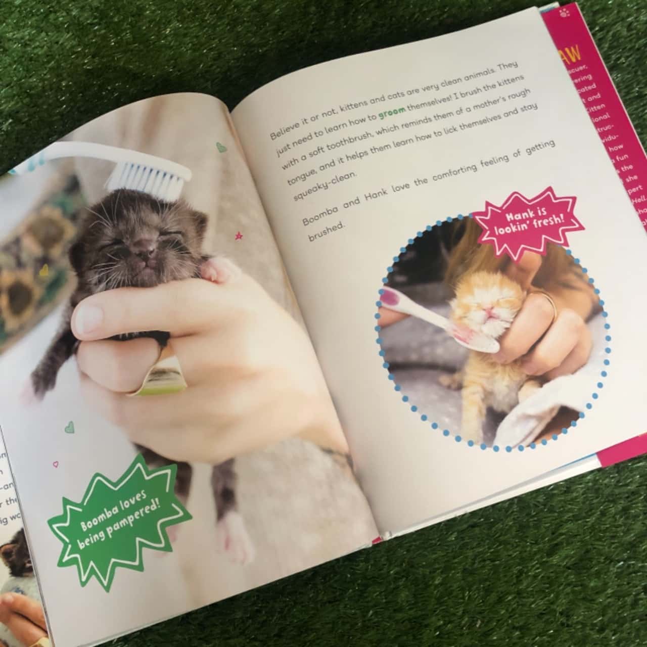 Kitten Lady's ‘Big Book of Little Kittens’ by Hannah Shaw(s)