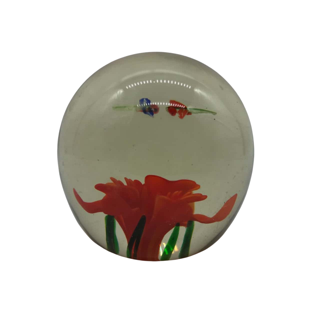 Dragonfly Paperweight(s)