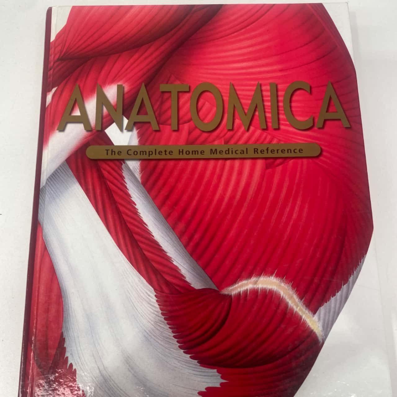 Anatomica (s)