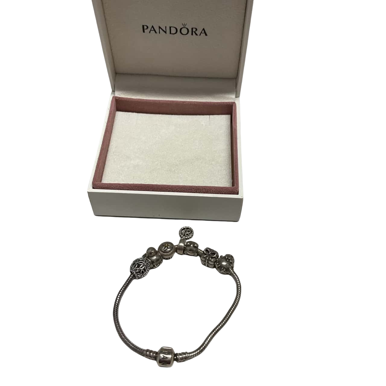 Pandora Womens Bracelet with assorted charms (s)