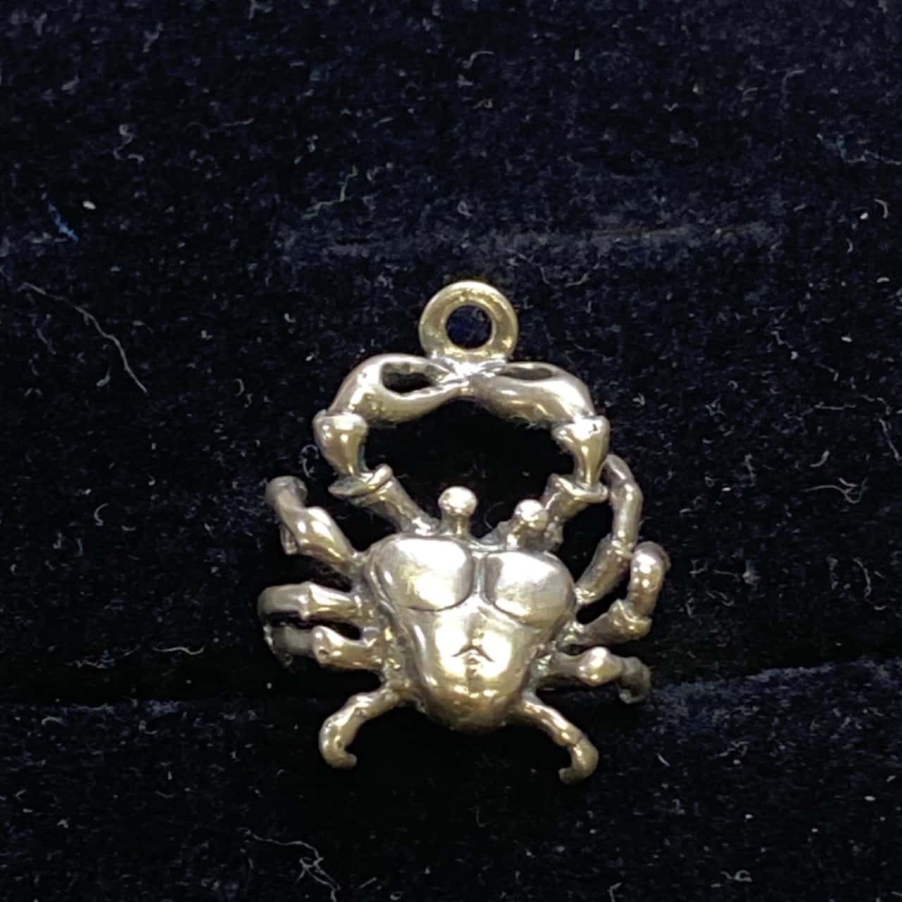 Silver Zodiac Cancer Pendant (s)