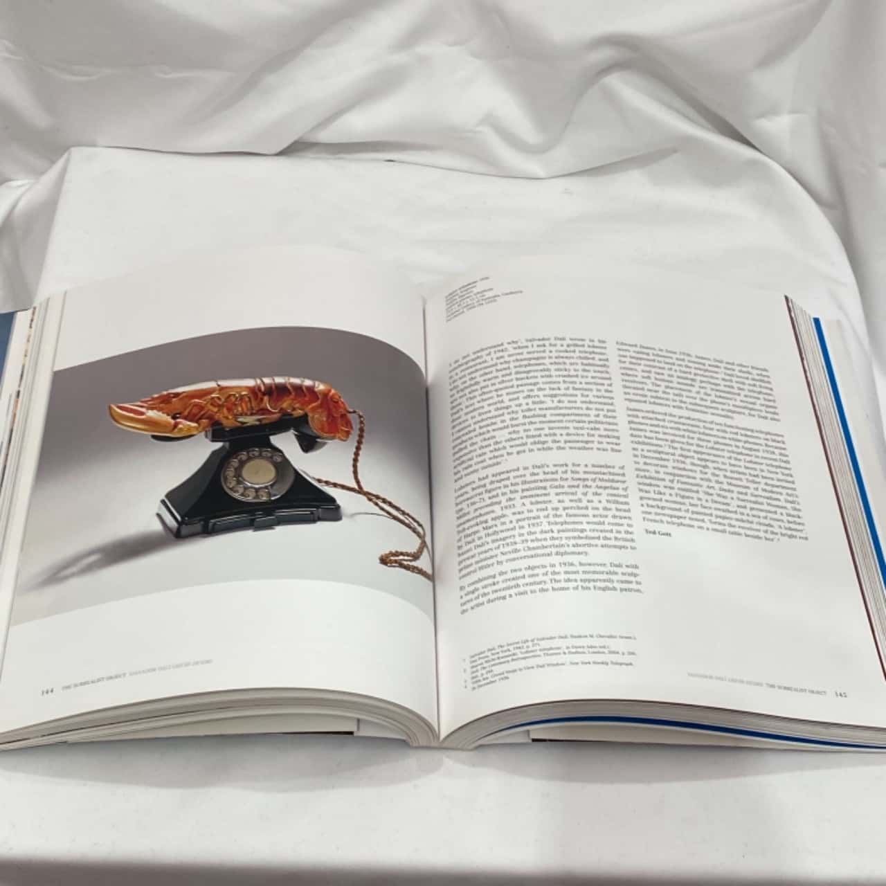 Salvador Dali Liquid Desire Art Book Paintings Coffee Table Book(s)