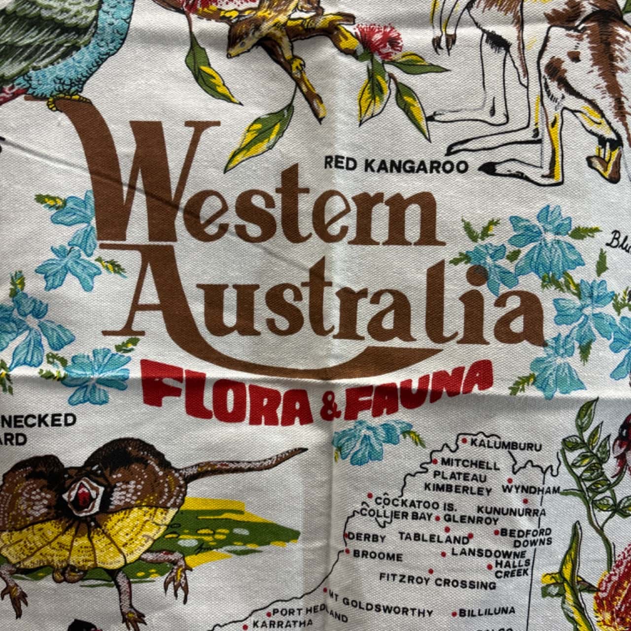 X2 set of Australia tea towels (s)