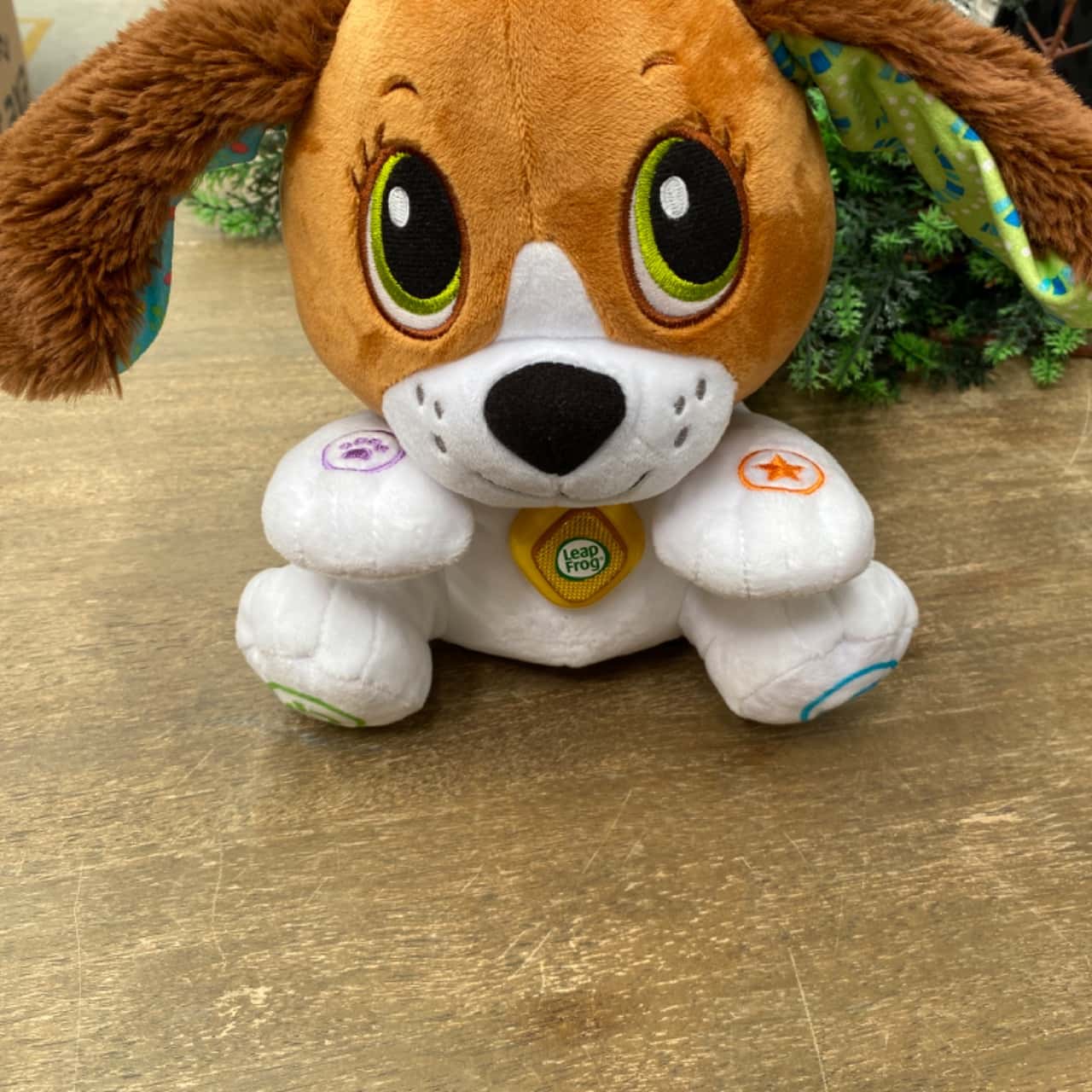 Leap frog dog (s)