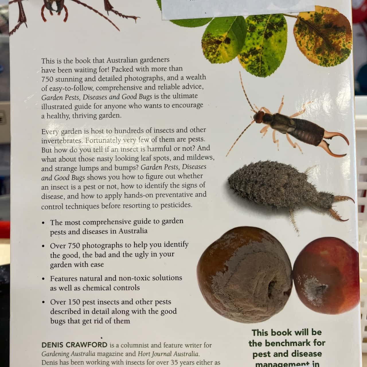 Garden pests, diseases and good bugs(s)