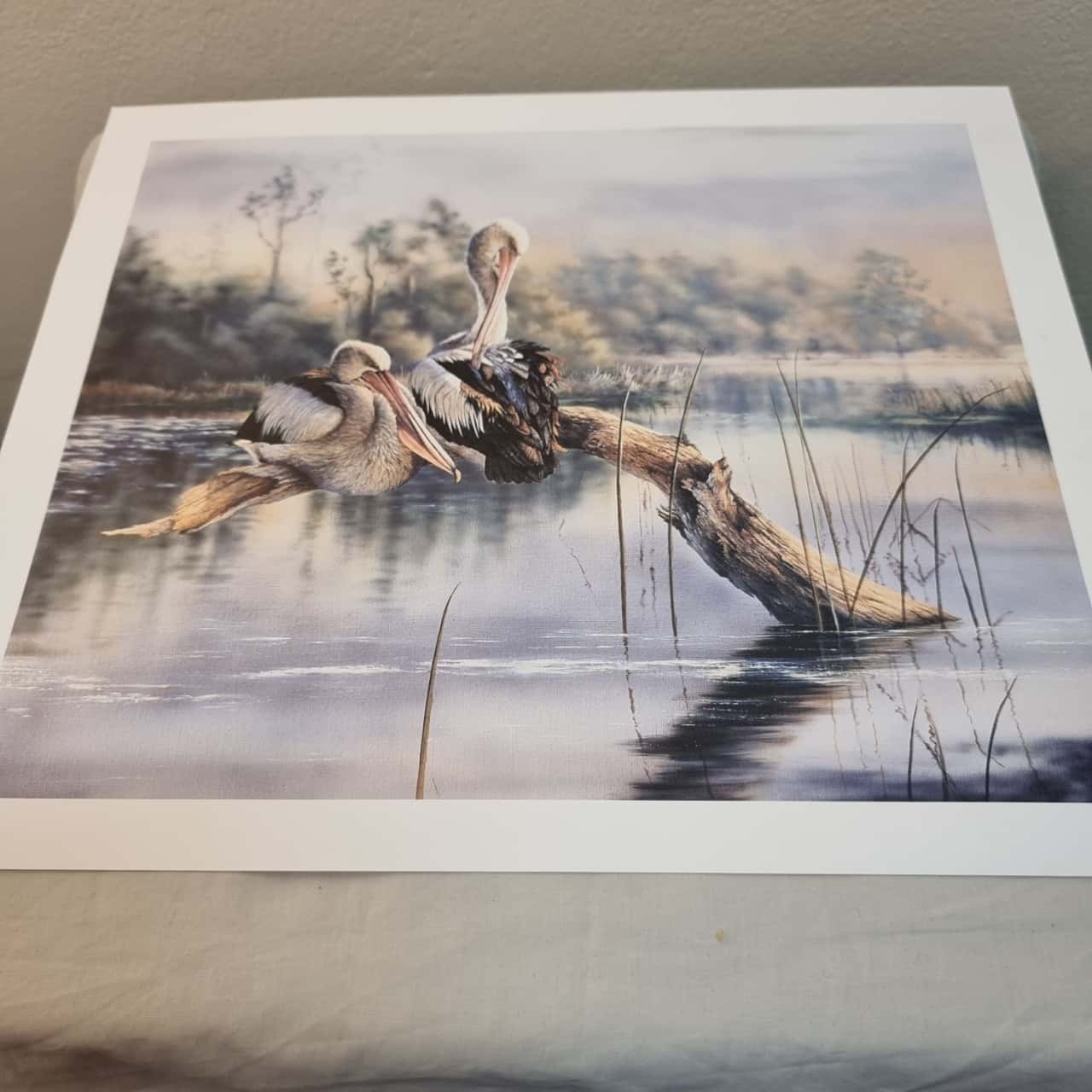 6 Assorted Bird and wildlife prints(s) - Used Very Good | Salvos Stores