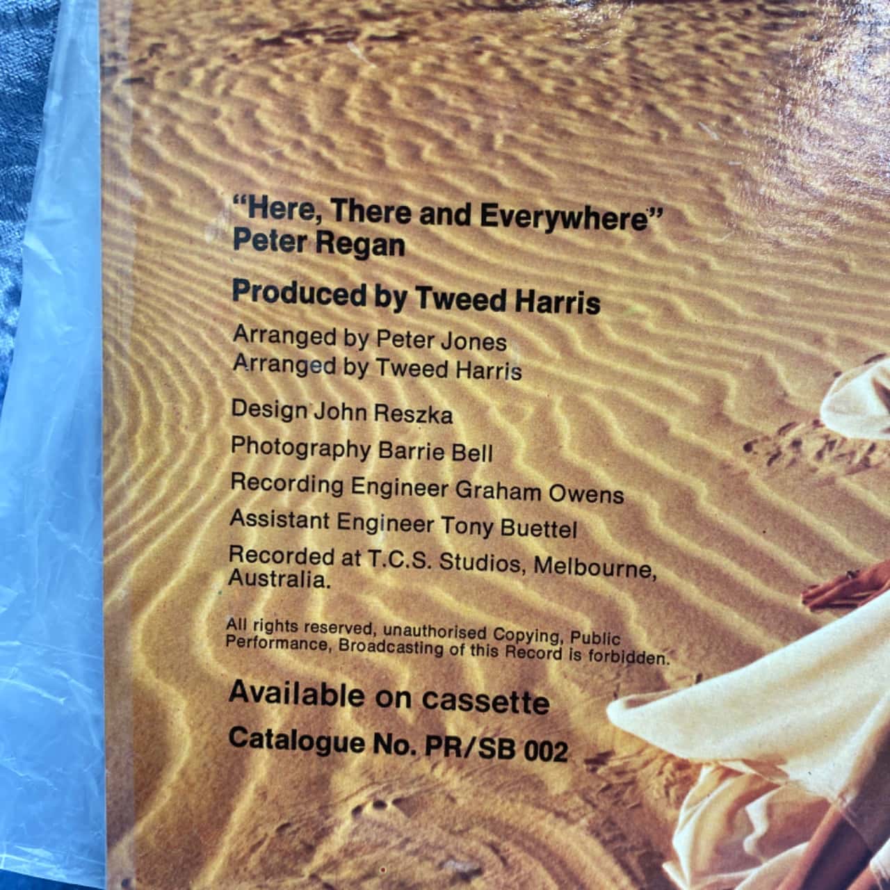 Peter Regan - Here There and Everywhere