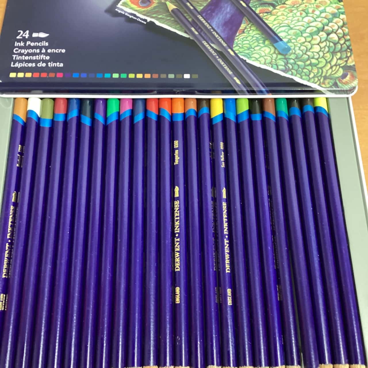 Derwent 24 colouring pencils(s)