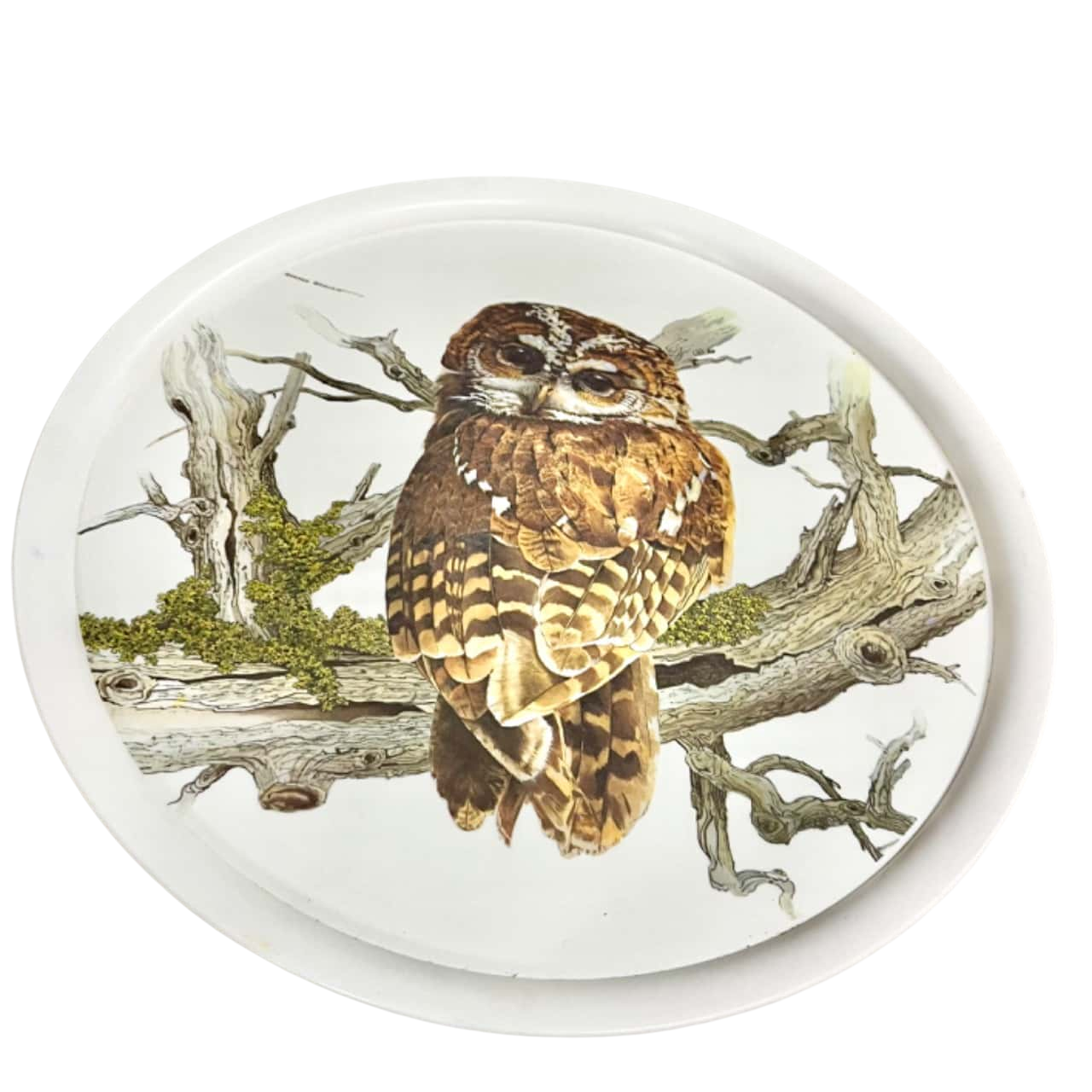 Melamaster Owl round serving tray (s)