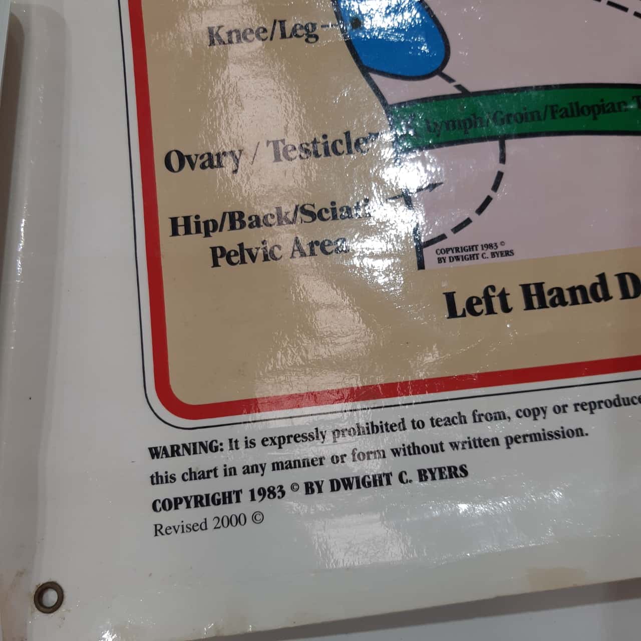 International Institute of Reflexology HAND CHART "Ingham Method"