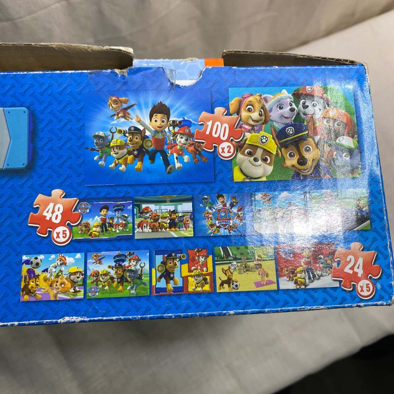 Nickelodeon Paw Patrol (s)