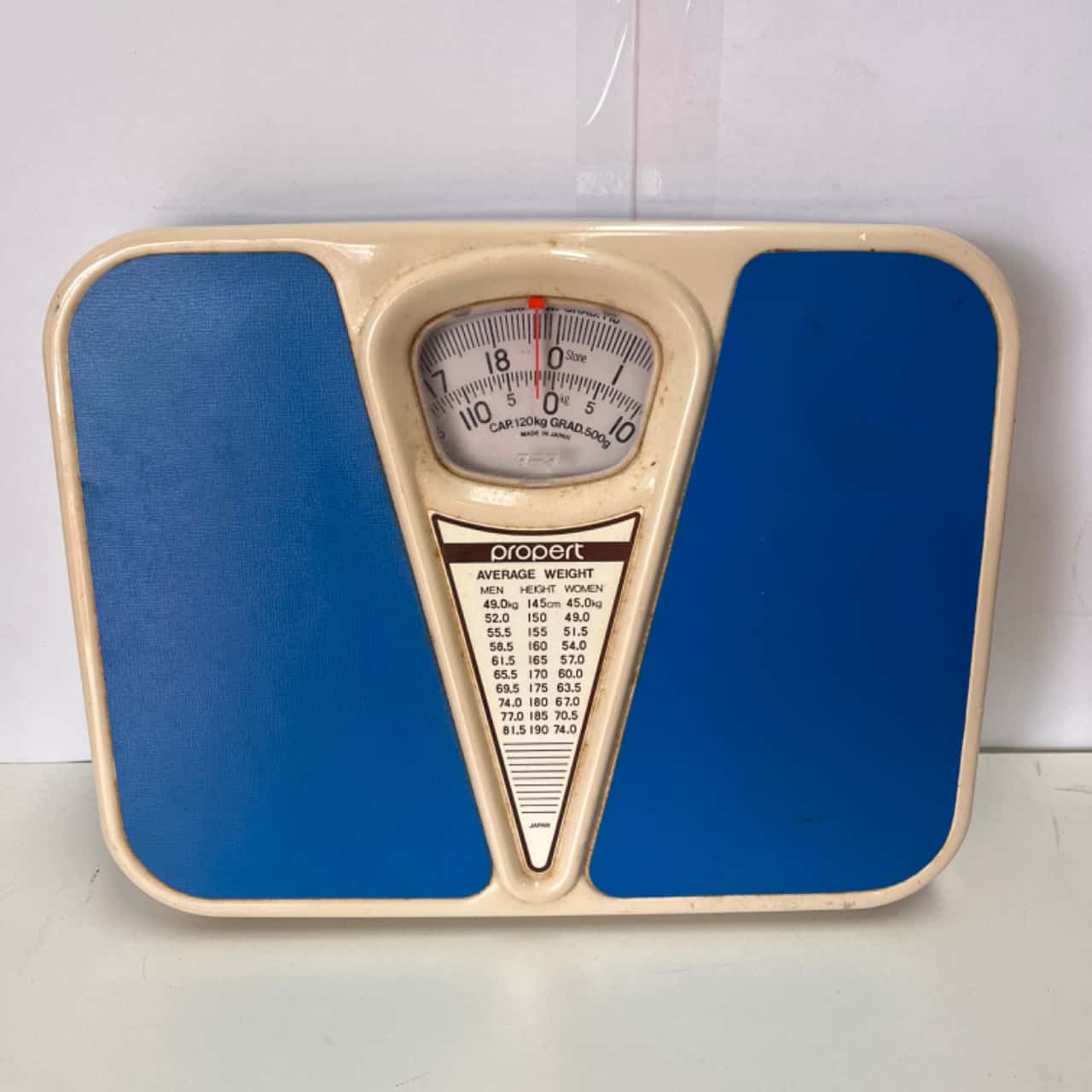 Vintage Blue Scales(s)