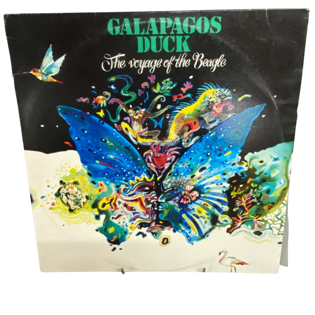 Galapagos Duck ‘The Voyage Of The Beagle’ Album