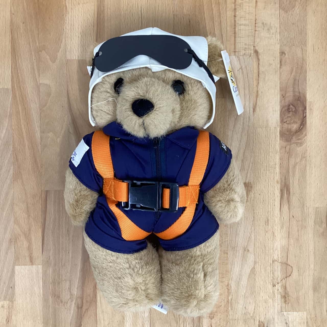 CareFlight bear BNWT(s)