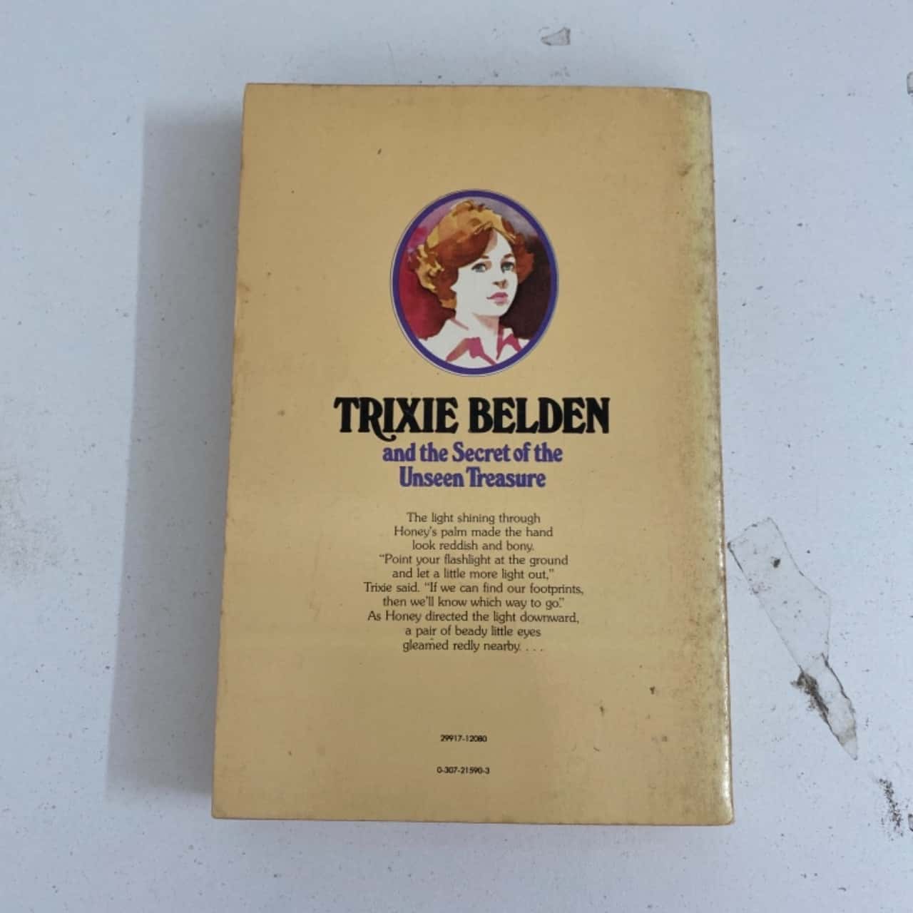 Trixie Belden Book 19 the secret of the unseen treasure