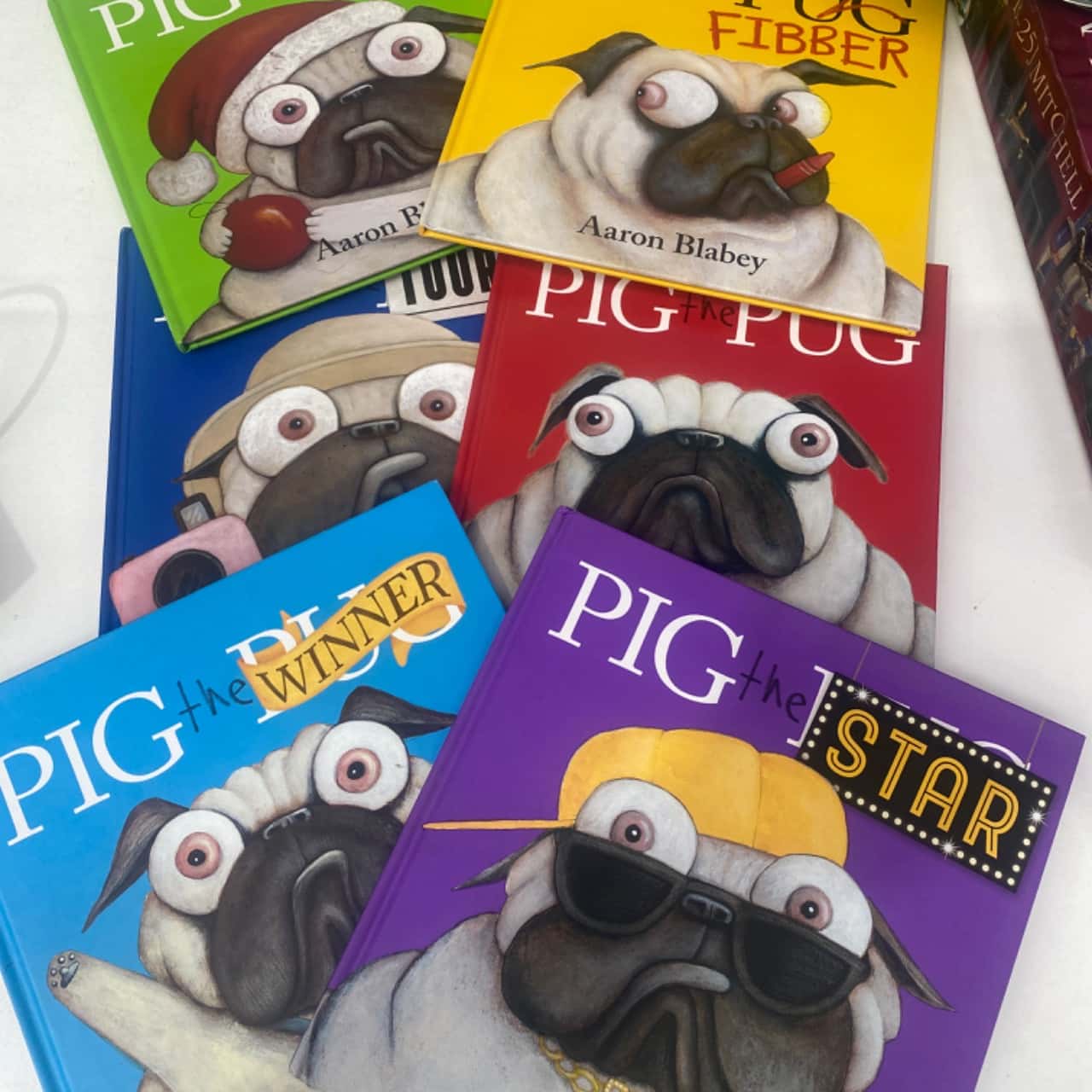 Assorted Pig the Pug (s) - Used As New | Salvos Stores