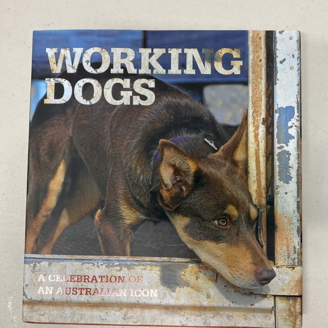 Working Dogs book by MacMillan