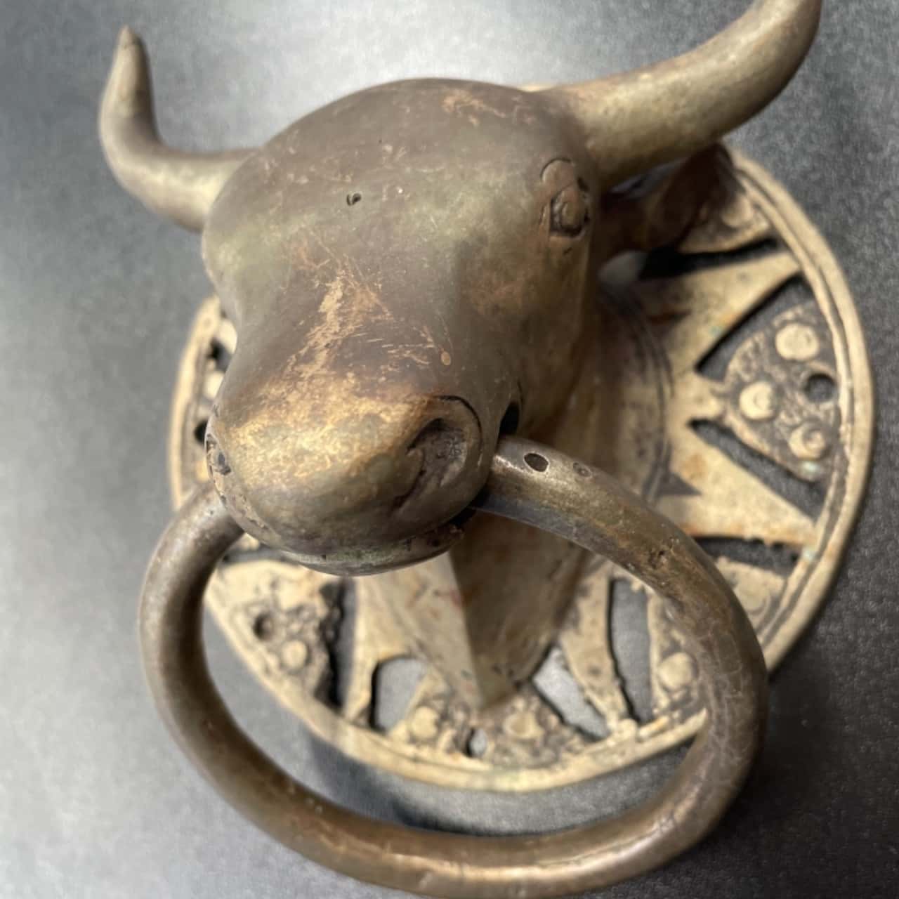 BULL DOOR HANDLE (s)