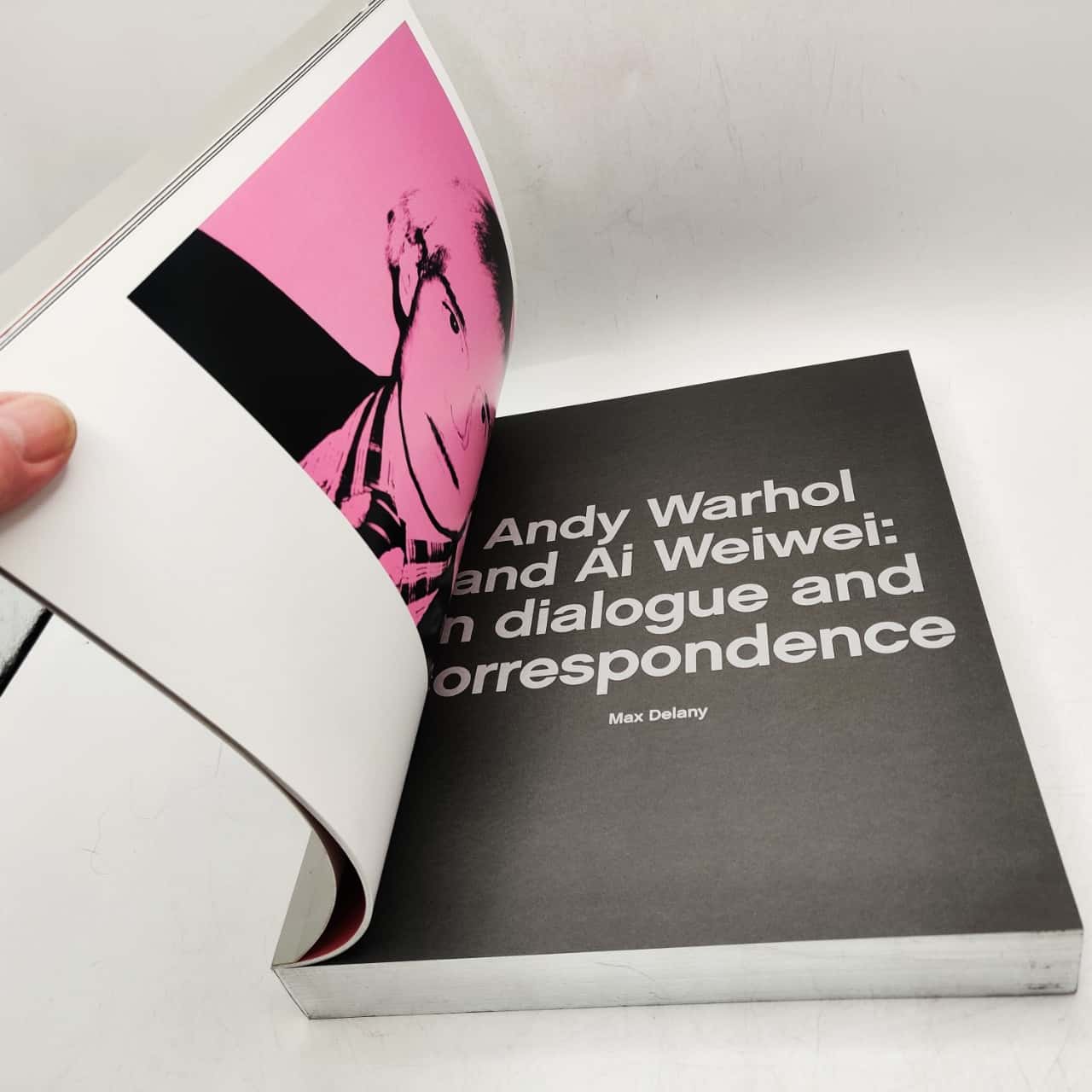 Andy Warhol : Ai Weiwei - The Andy Warhol Museum Published By The NGV(s)
