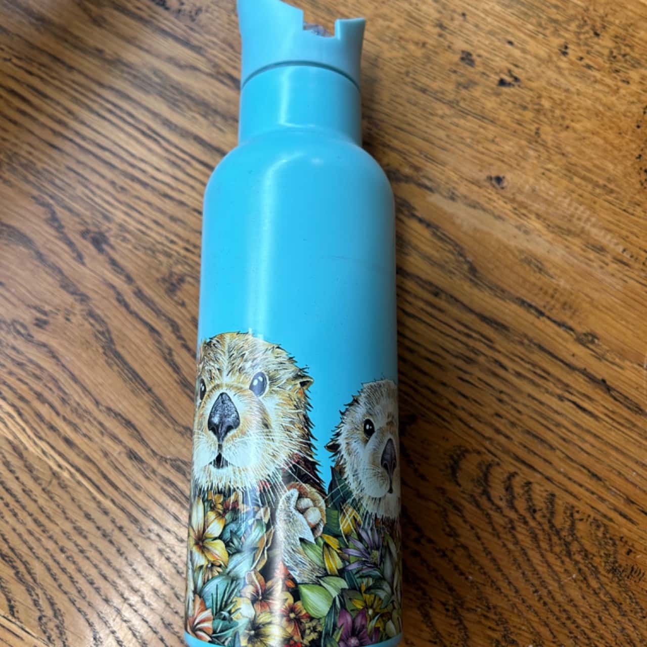 Maxwell & Williams sea otters insulated bottle (s)
