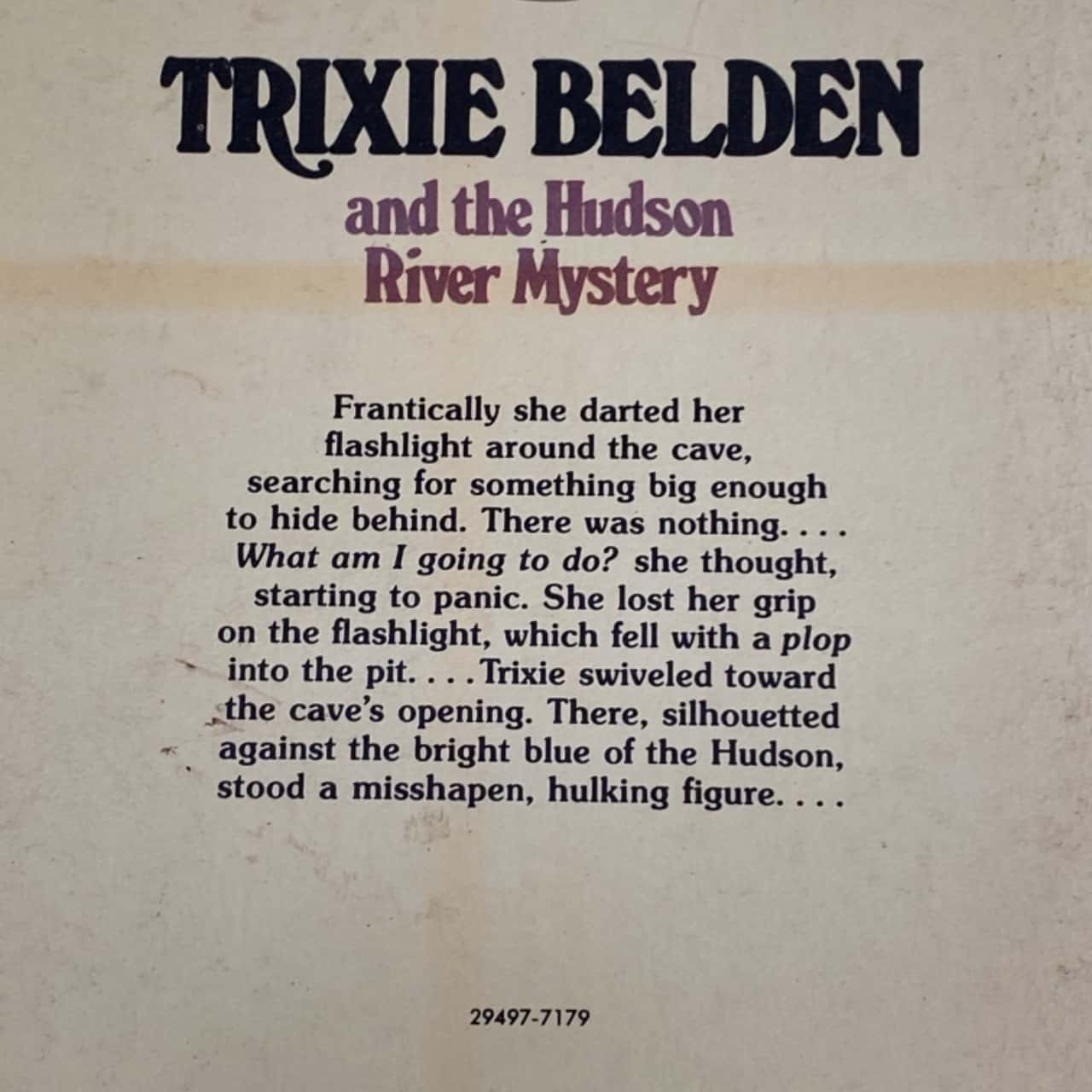 Trixie Belden Book 28 the Hudson River mystery (s)