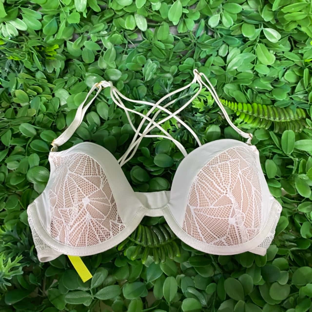 Sass & Bide Womens Size 10C Nude / White Bra(s)