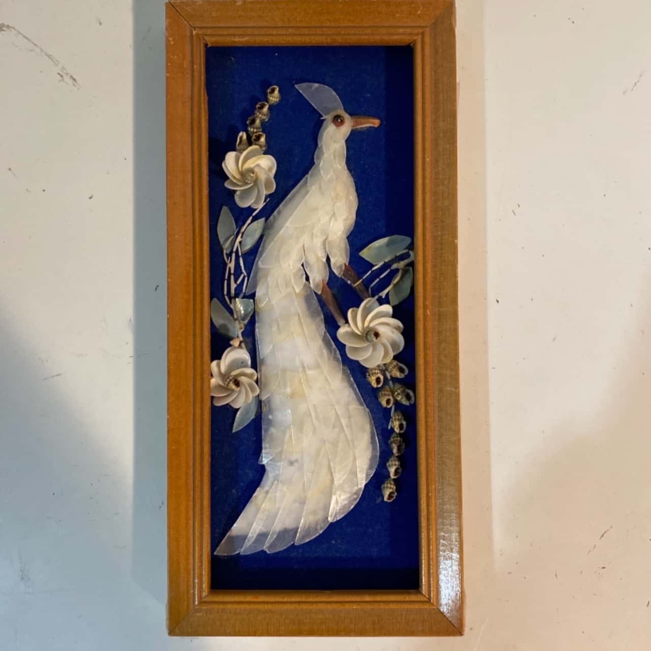 Peacock Shell art pair on a red and blue background