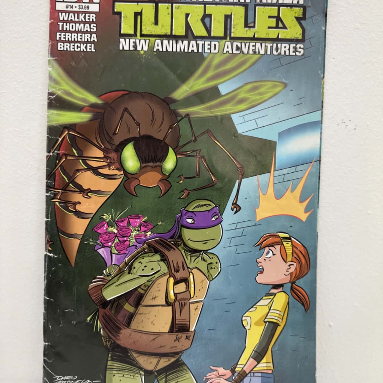 5 TMNT Comic Books(s)