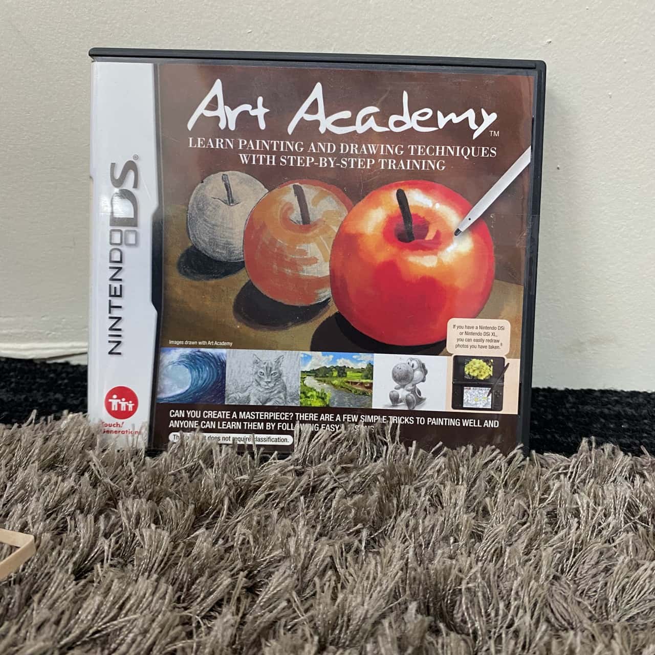 Nintendo DS Art Academy Drawing techniques (s) - Used Very Good ...