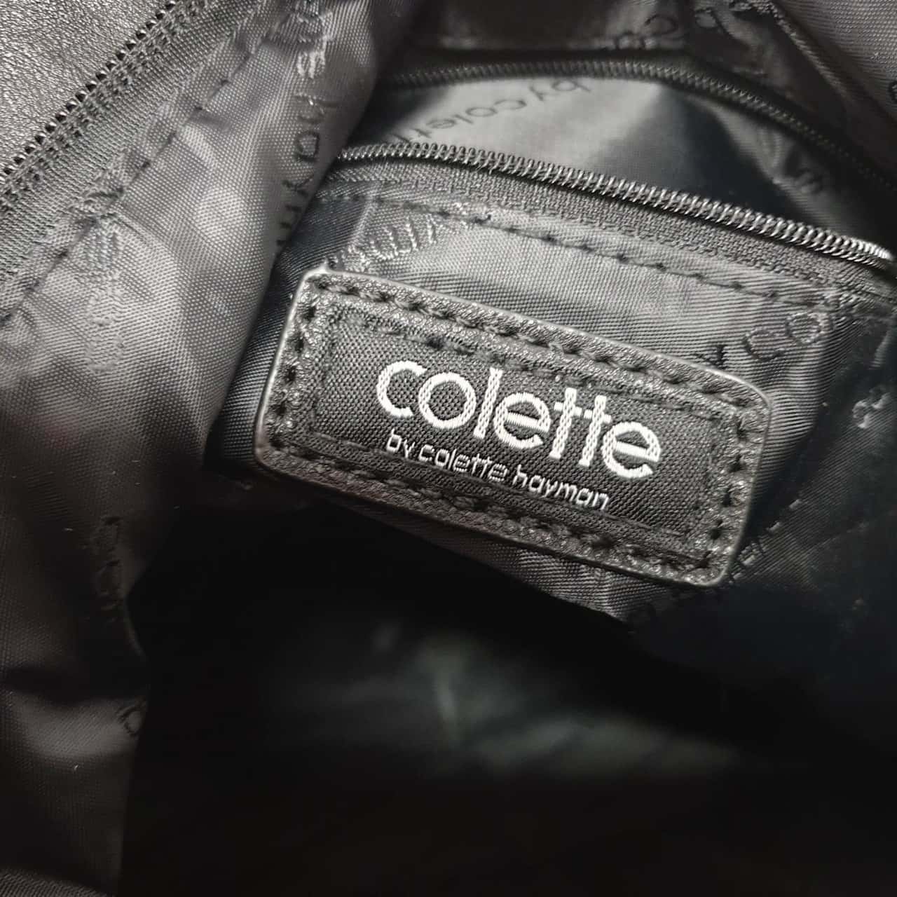 Colette Classy Womens Tote/ Gorgeous Deep Bucket Handbag with Silver ...