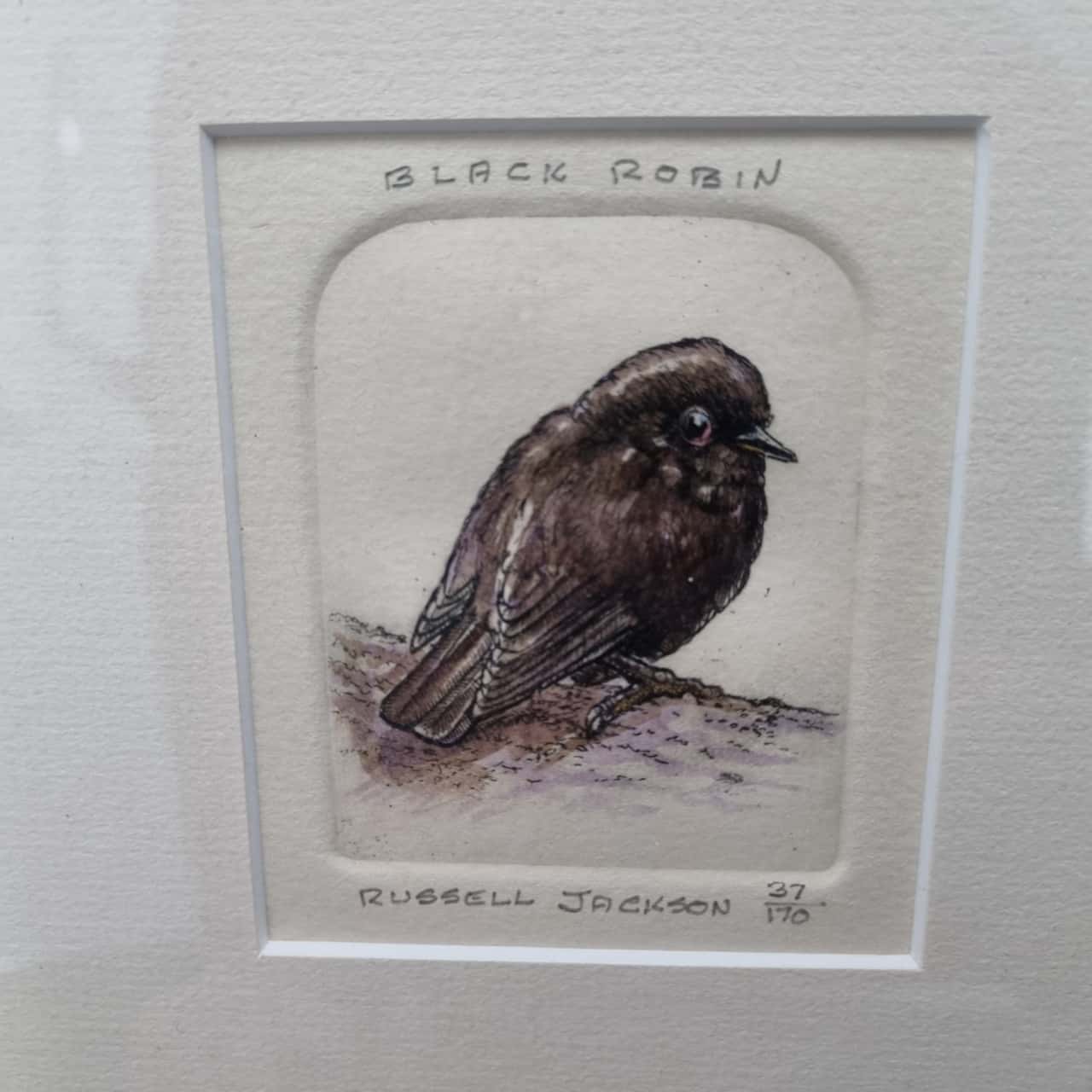 Russel Jackson Black Robin(s)