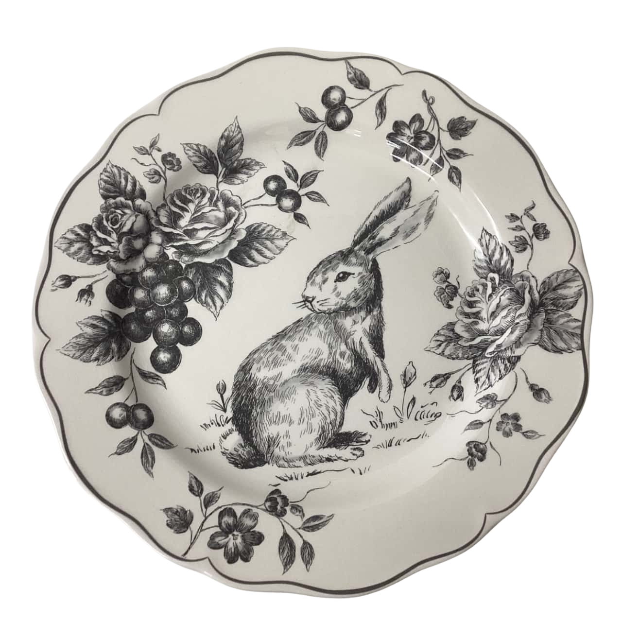 Maxcera rabbit plate