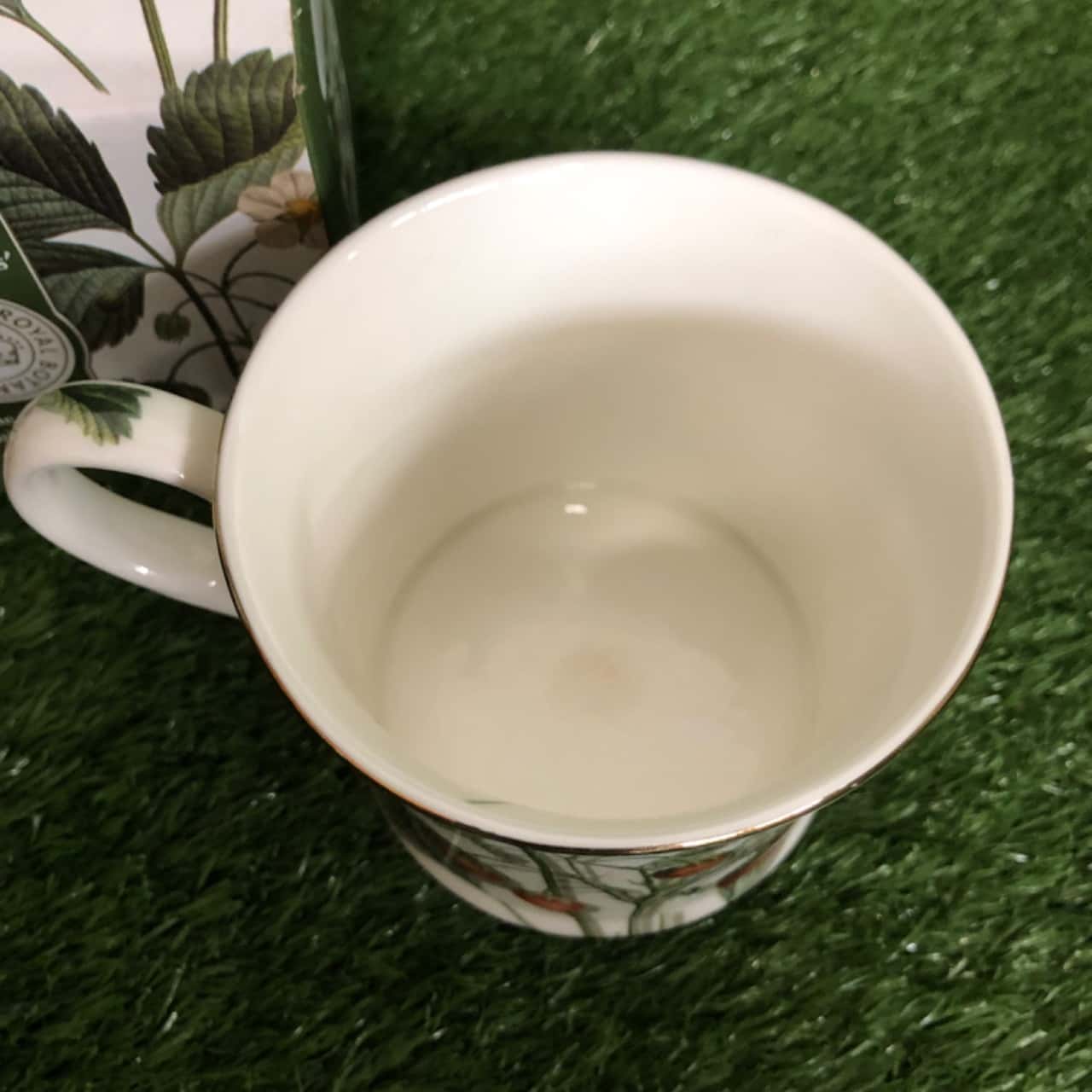 Royal Botanic Gardens Kew ‘Wild Strawberries’ Mug (Boxed)(s)