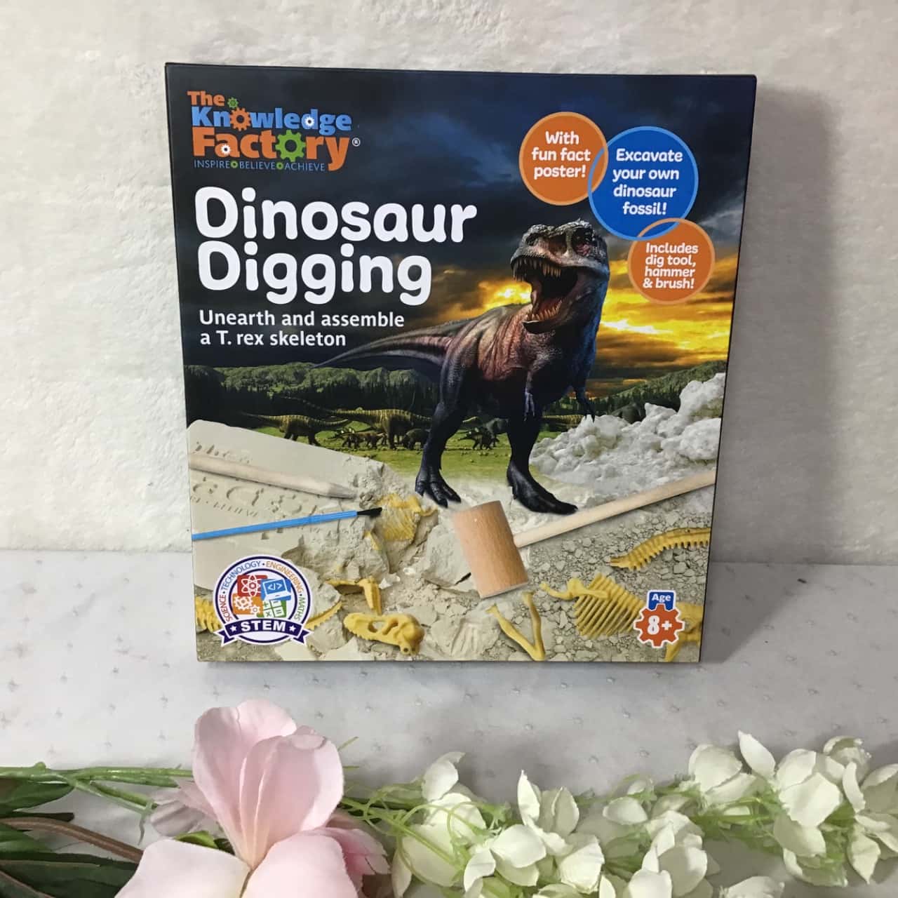 The Knowledge Factory Dinosaur Digging Unearth & Assemble a T. Rex ...