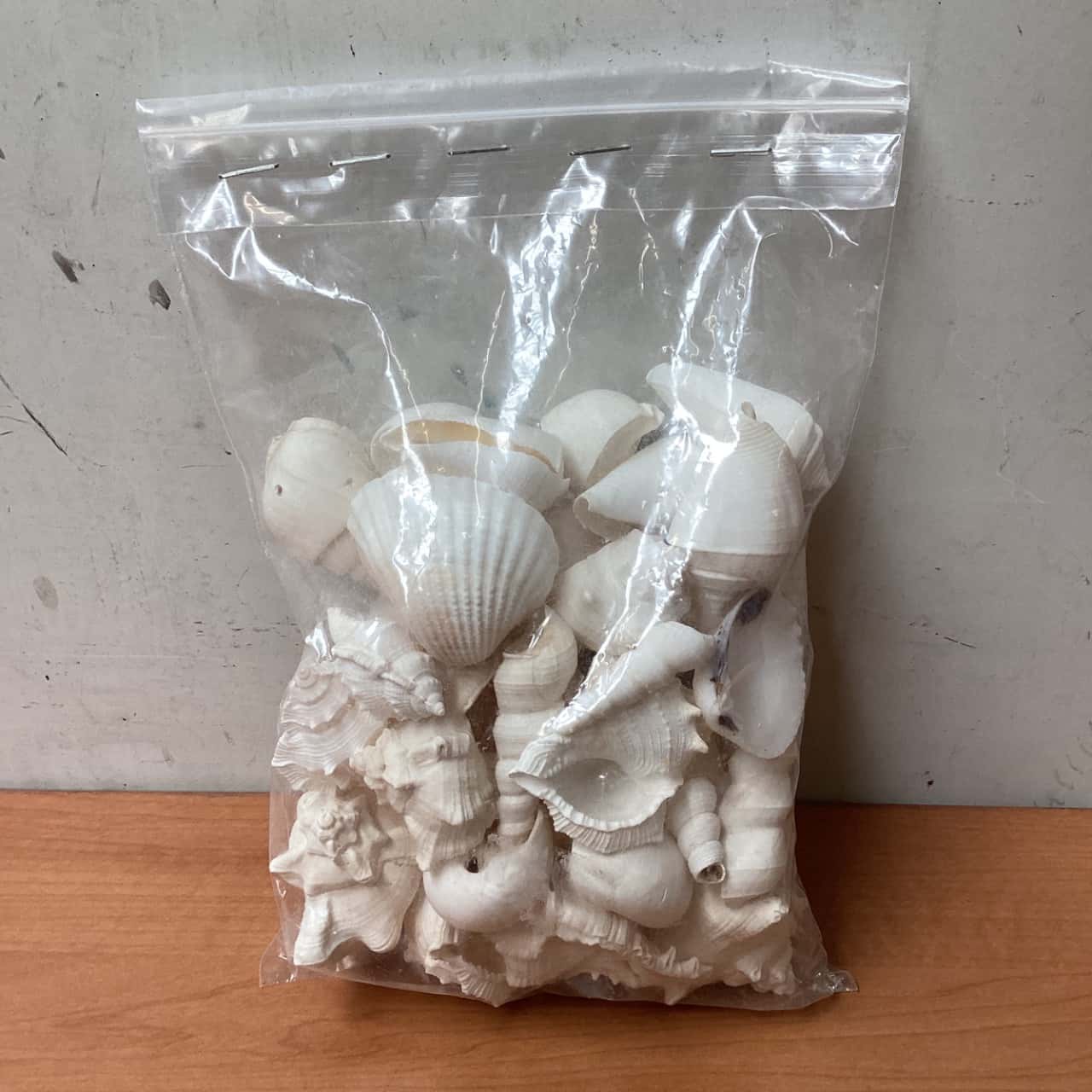 Bag of Shells(s)