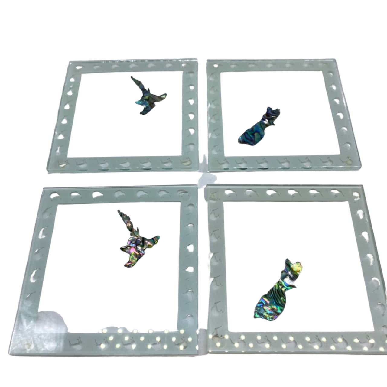 BNIB Souvenir New Zealand Shell 4 Glass Coasters with Papua Shell ...