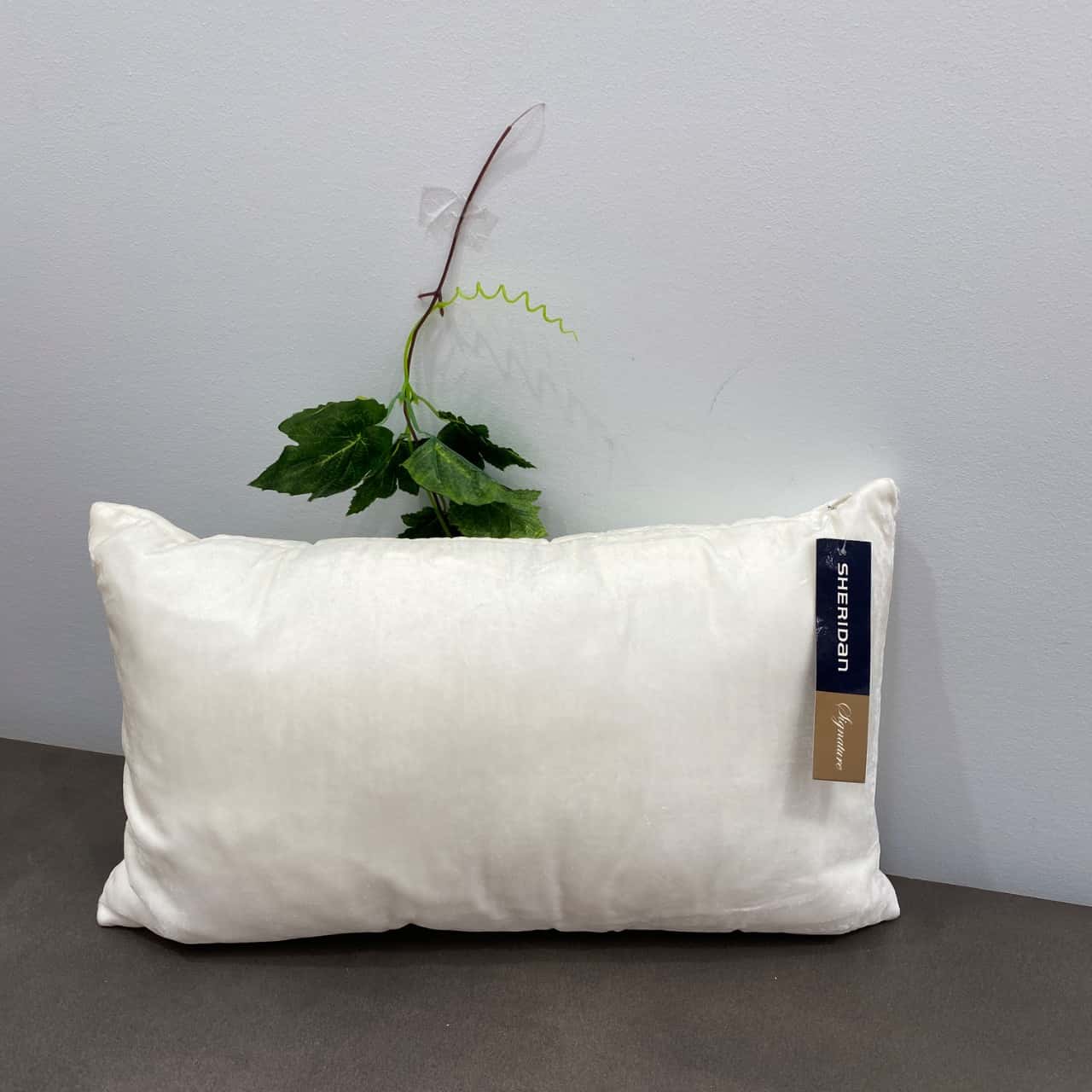 Sheridan Signature Breakfast Cushion Vanilla (s)