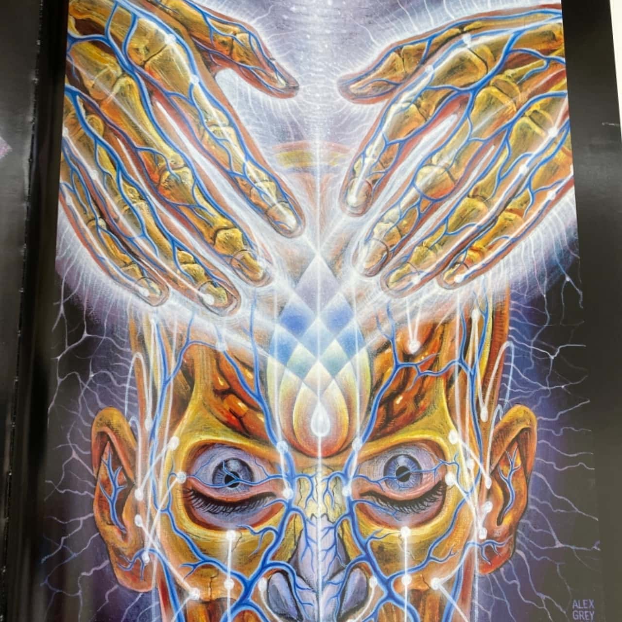 Alex Grey Visions(s)