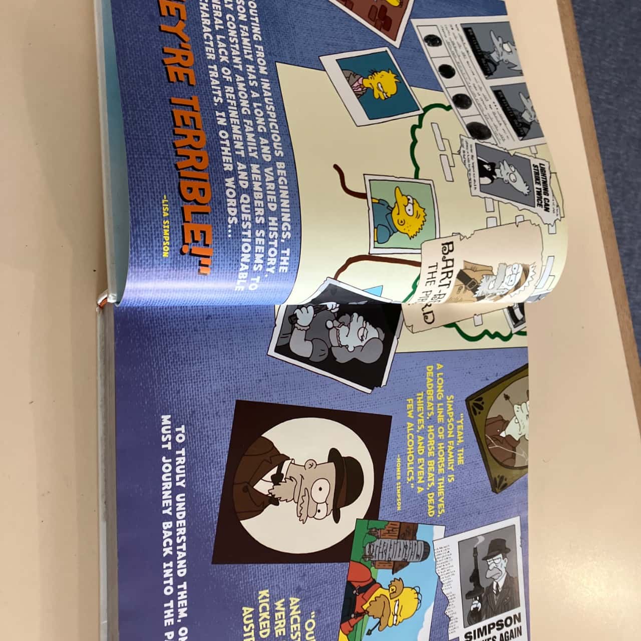 the Simpsons - Family History: A celebration of television’s favourite ...