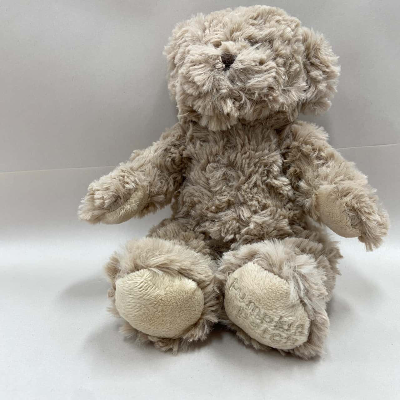 Pumpkin Patch Teddy Bear Retired